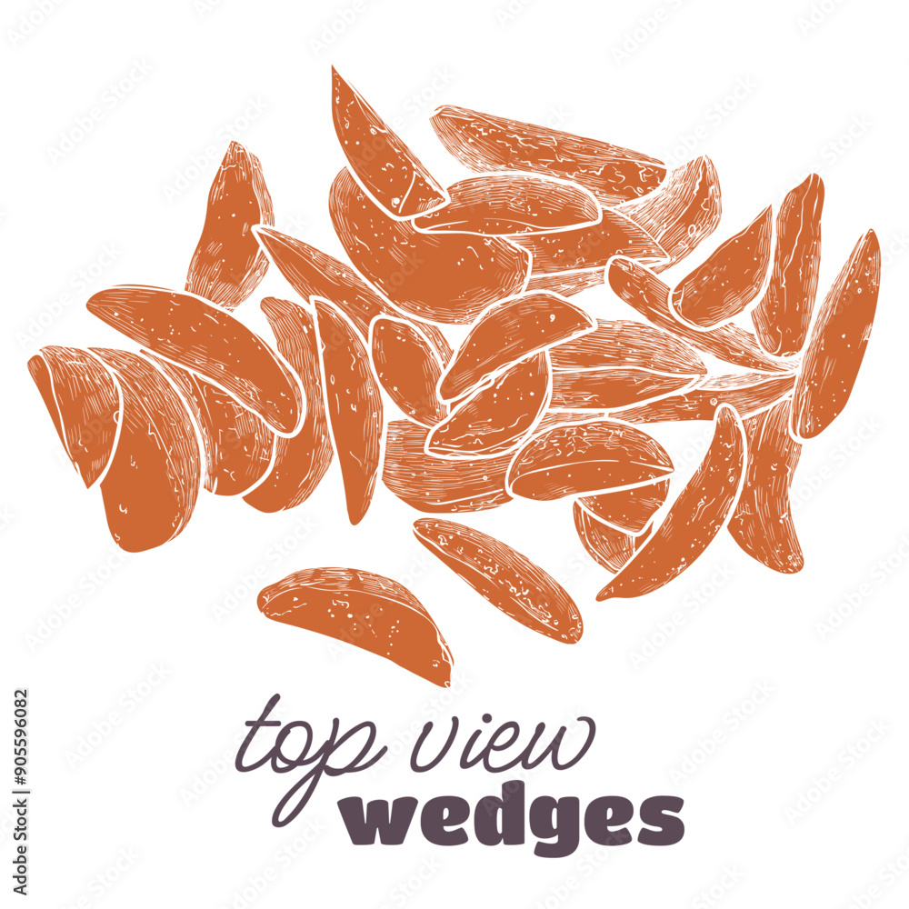 Hand drawn vector top view wedges. Tasty dark orange crispy wedges with ...
