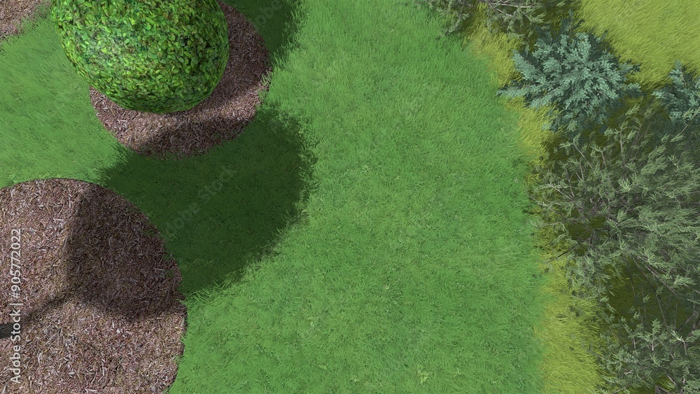 3d image of the landscape design of the home territory. Landscaping of ...