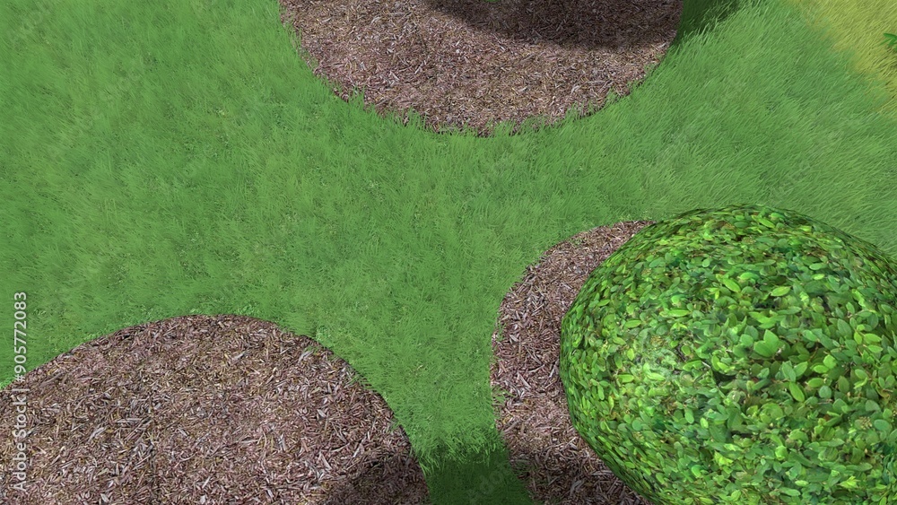 3d image of the landscape design of the home territory. Landscaping of ...