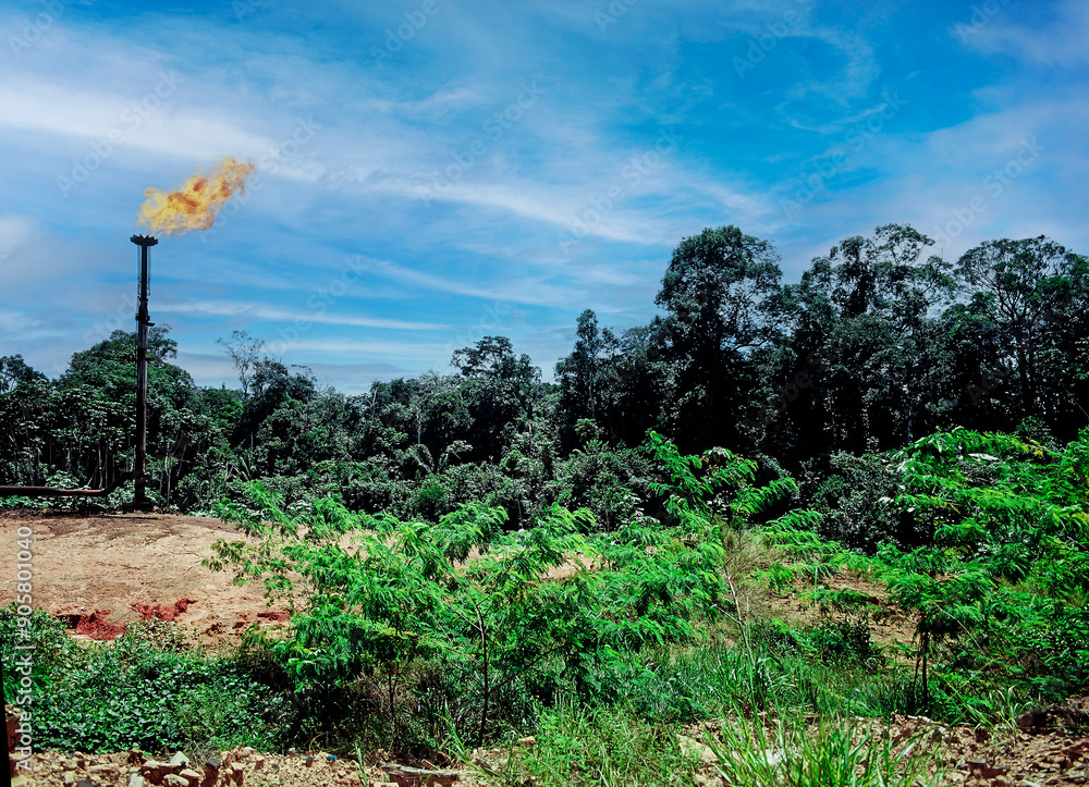 Unused natural gas flare for production and transportation by pipeline ...