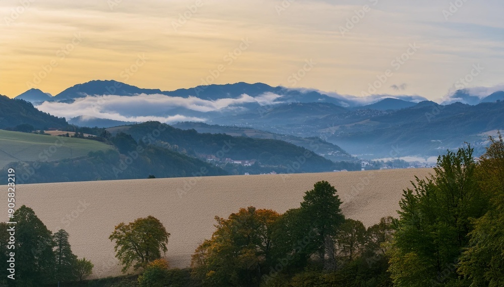 high resolution seamless yellow cardboard background or texture hard ...