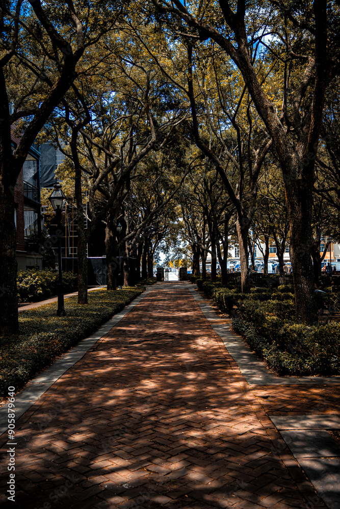 Beautiful brick path lined on both sides by old live oak trees with ...