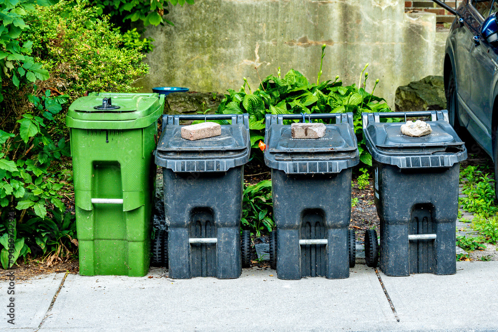 composte bin green and garbage bins black at the curb waiting for ...