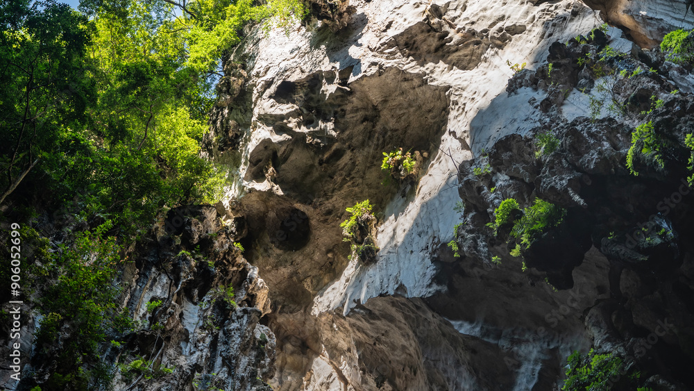 Limestone sheer cliff. Close-up. Green tropical trees and bushes ...