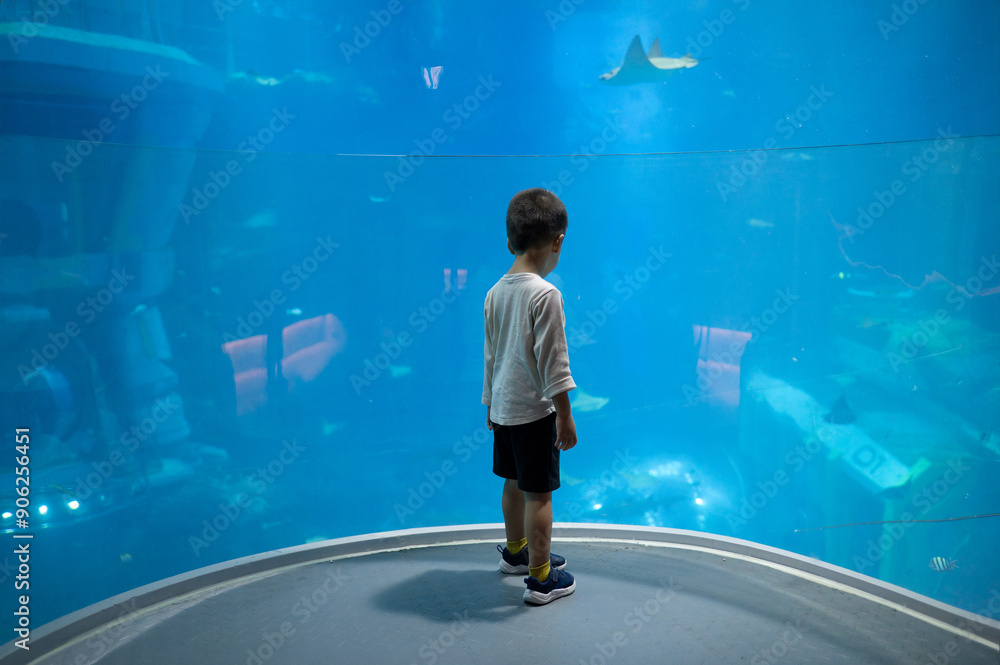 Child gazing at large shark and stingray in unrecognizable modern ...