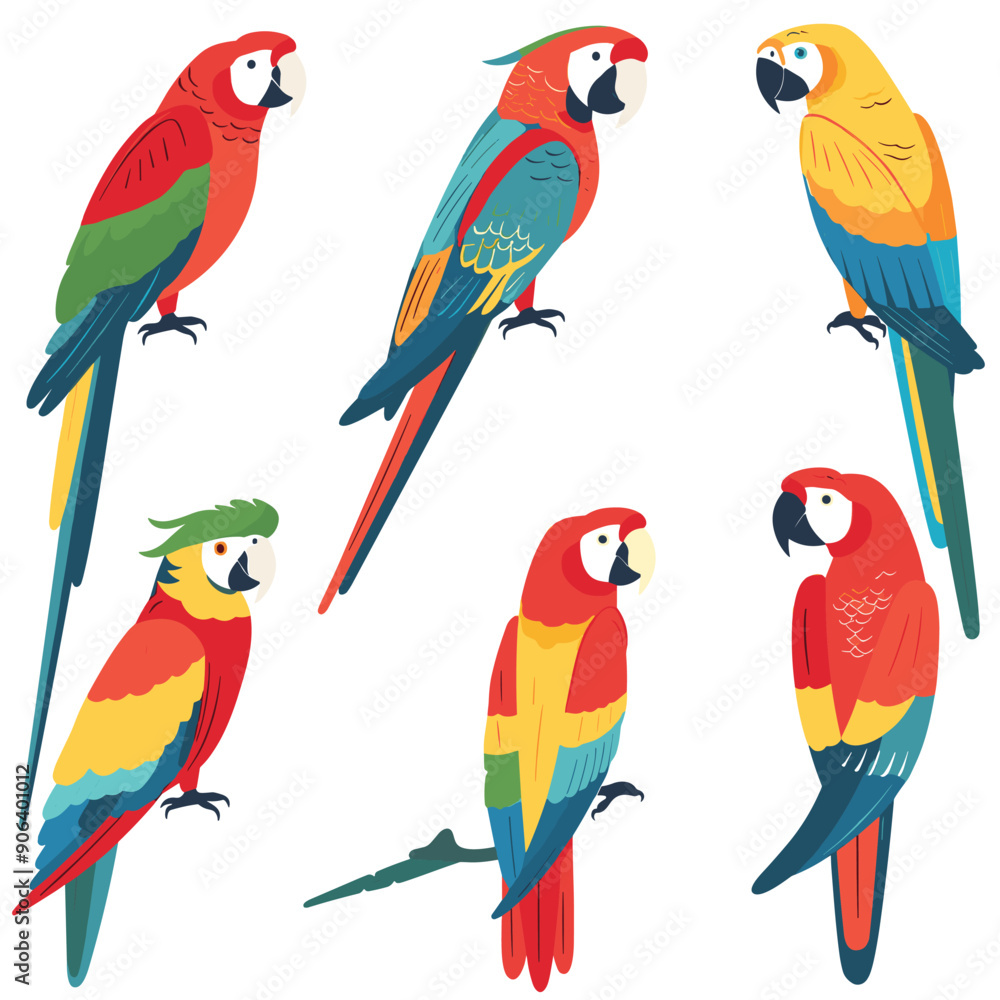 Five colorful parrots illustrated various poses perched looking around ...
