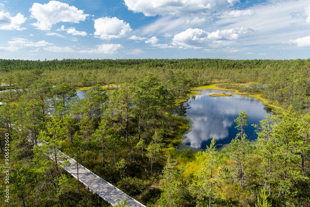 Viru Bog, one of the most famous bogs located in Lahemaa National Park ...