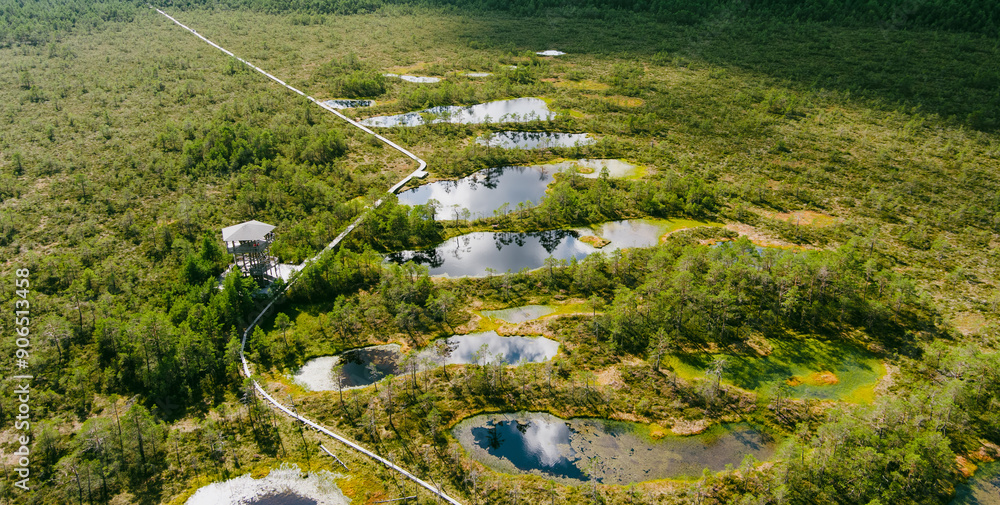 Viru Bog, one of the most famous bogs located in Lahemaa National Park ...