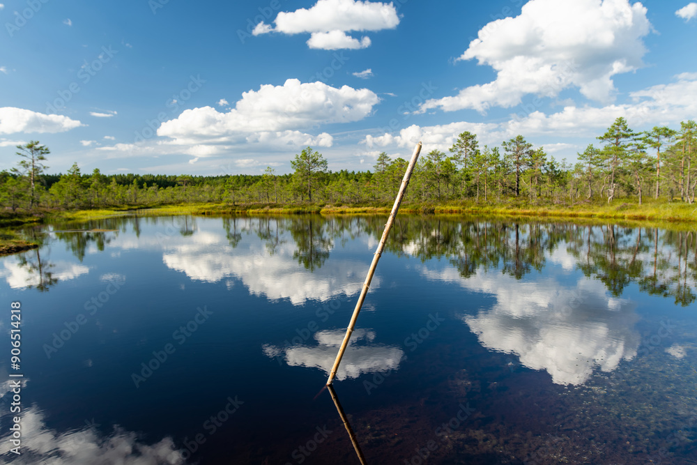 Viru Bog, one of the most famous bogs located in Lahemaa National Park ...