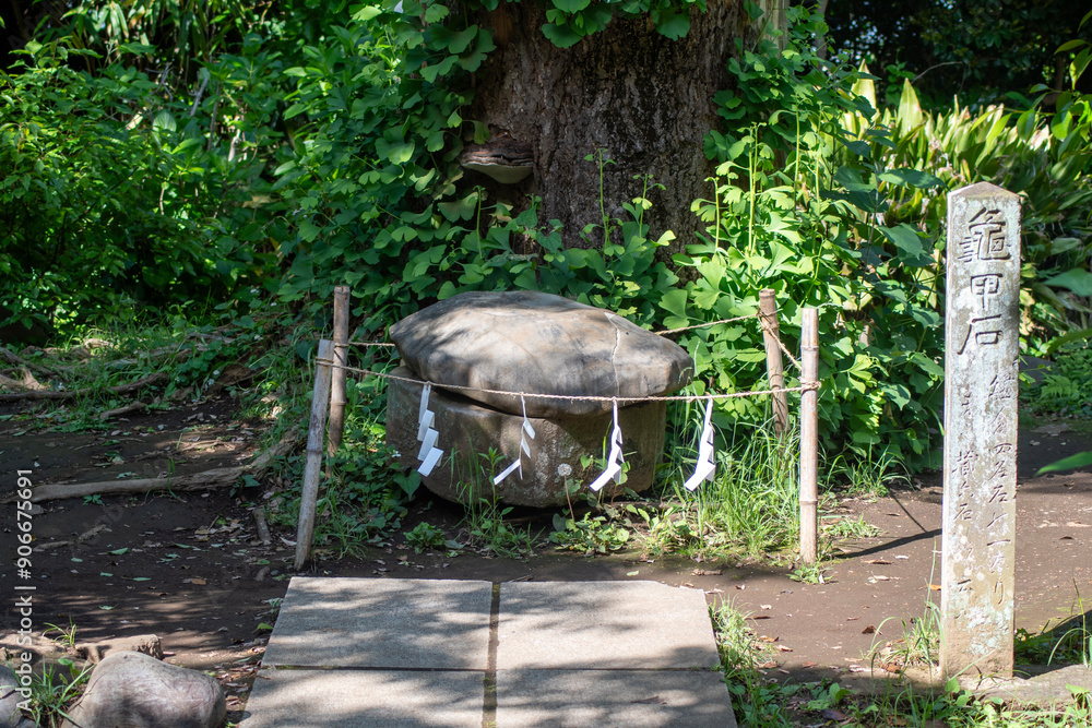 Tortoise Shell Rock that looks like a turtle shell on Enoshima island ...