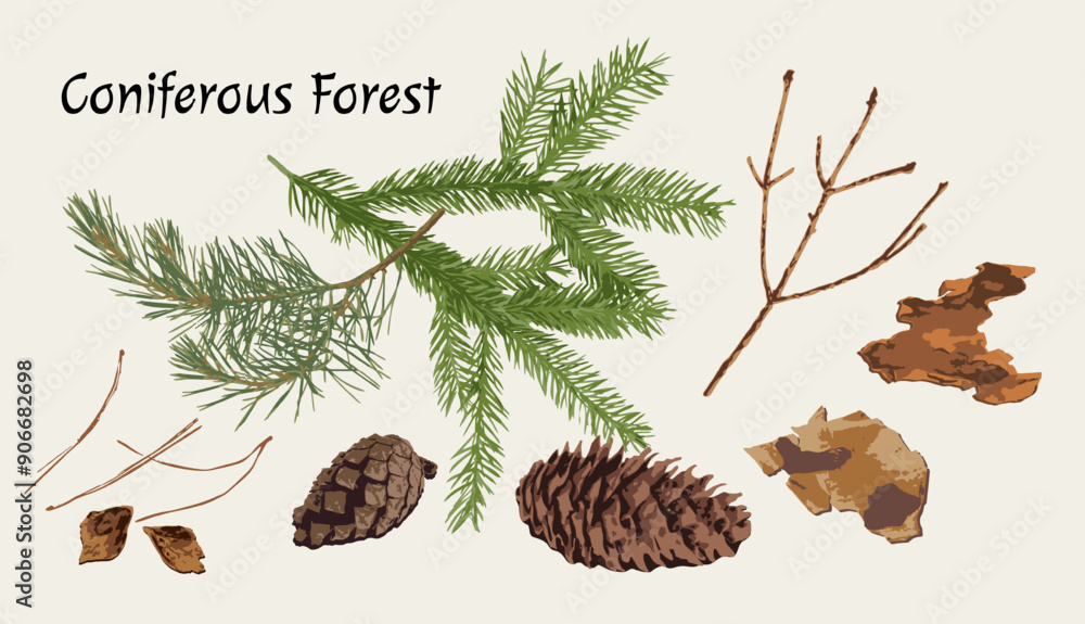Clip art, design elements, set of nature objects of coniferous forest ...