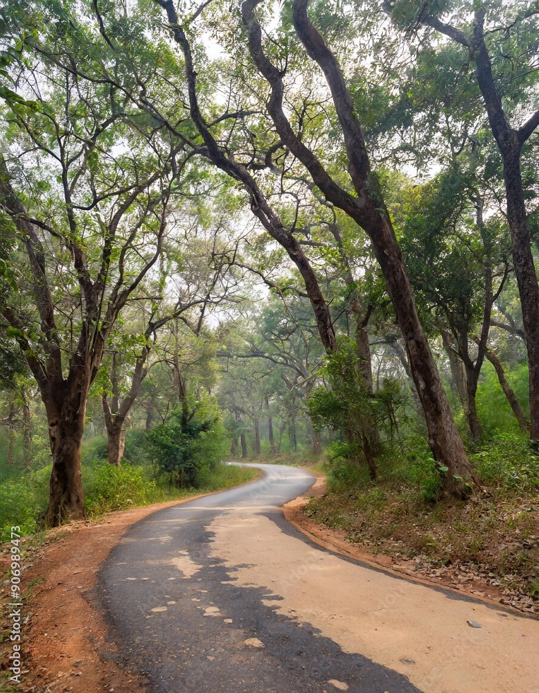Unexplored path / Road less taken at Nagarhole national park, Karnataka ...