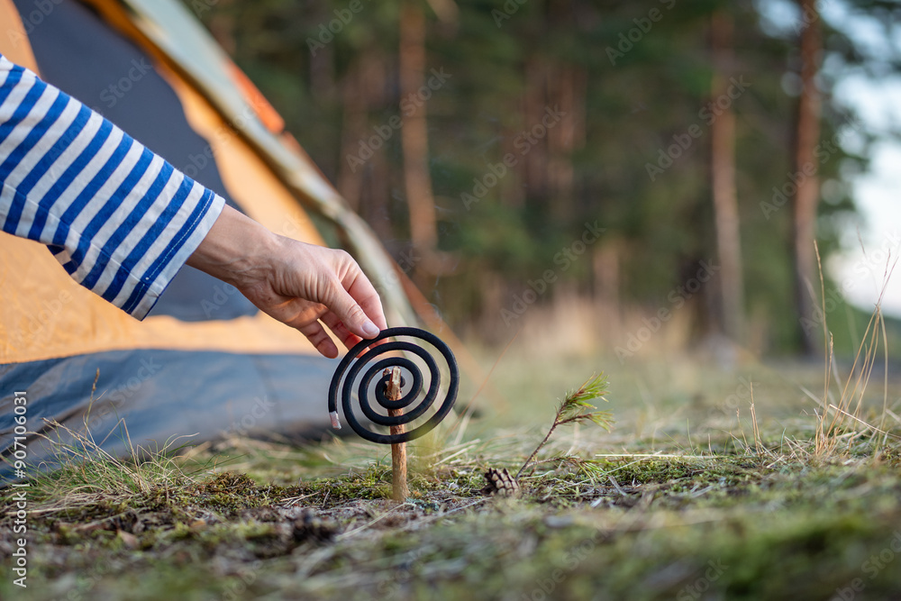 Person installing burning mosquito repellent coil with smoke on dry ...