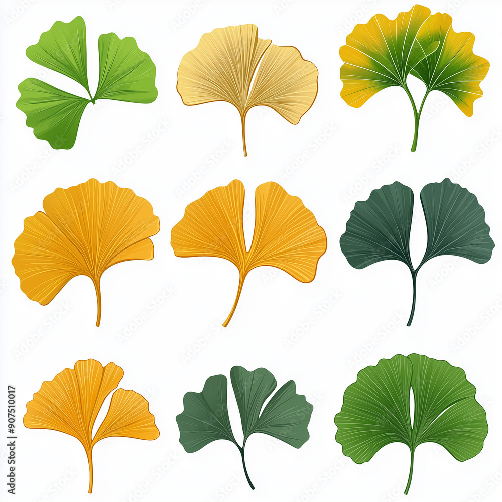 Ten illustrations of ginkgo leaves, vector graphics with multiple ...