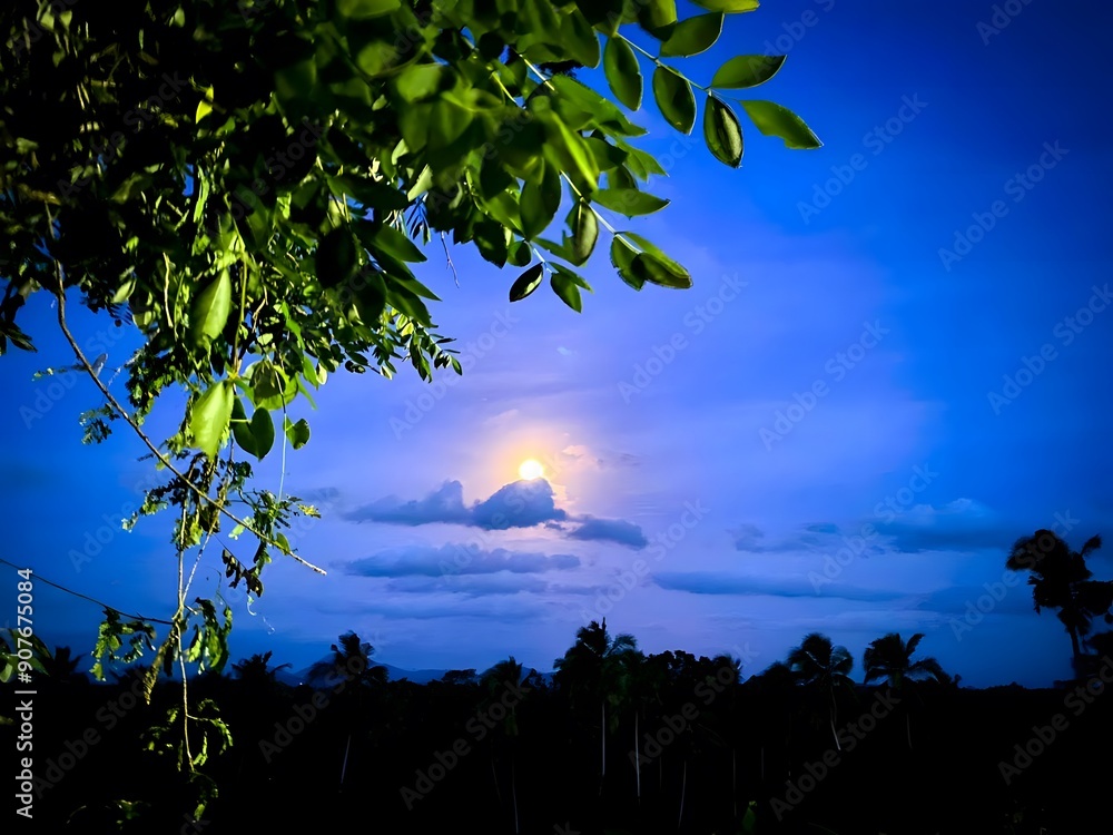 Bright full moon shining in the dark sky clouds black tree shadows ...