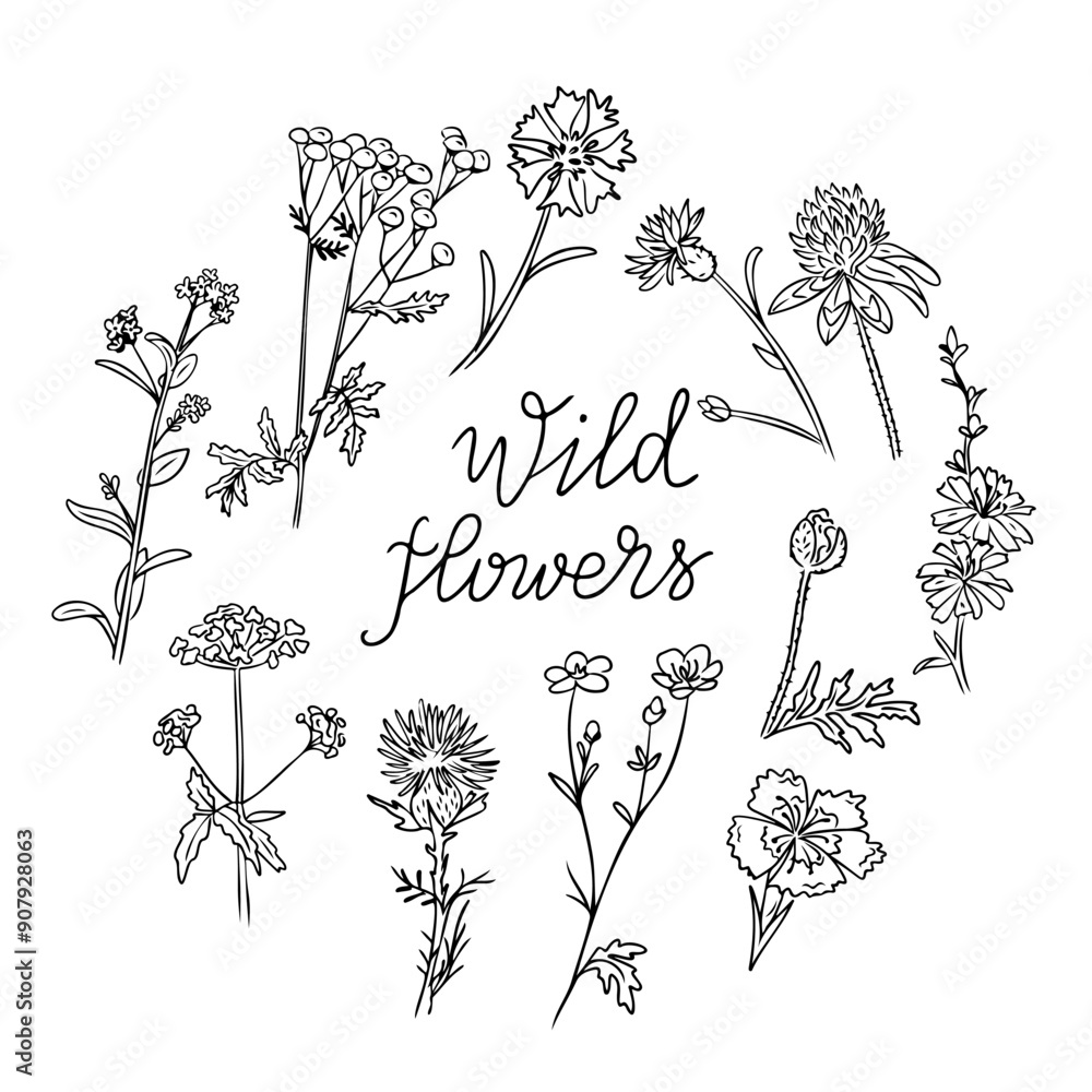 Floral contour doodle composition with wild flowers and monoline ...