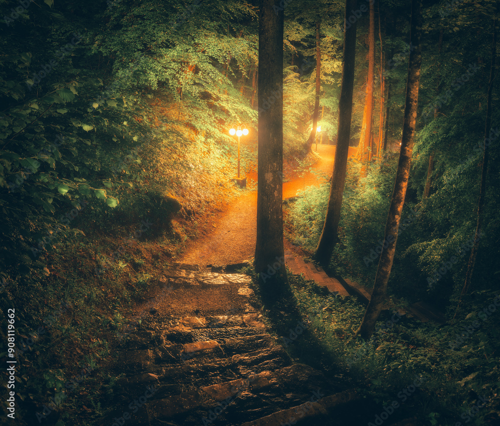 Forest path at night in the fog, illuminated by a street lamp in summer ...