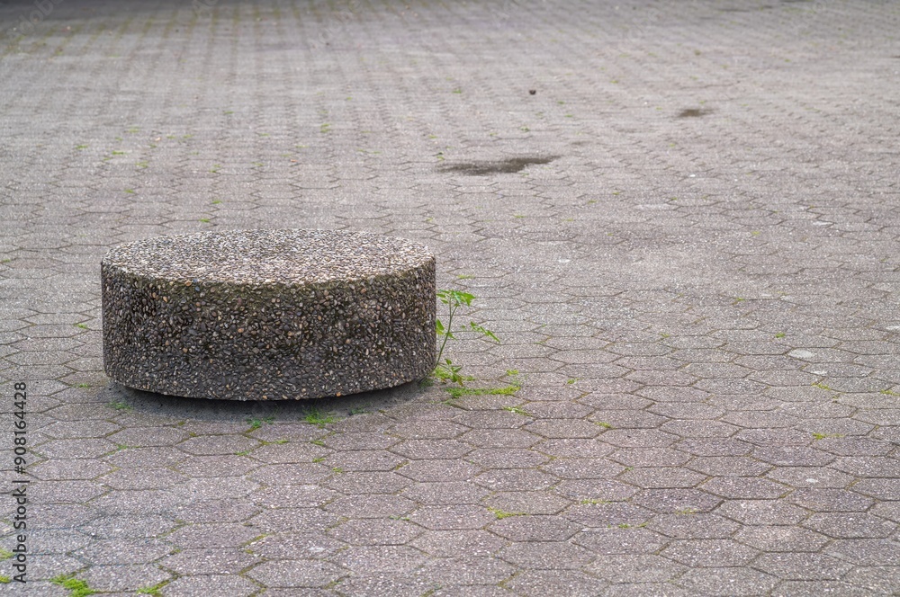 Poster Exposed aggregate concrete bollards on a paved forecourt – Wall ...