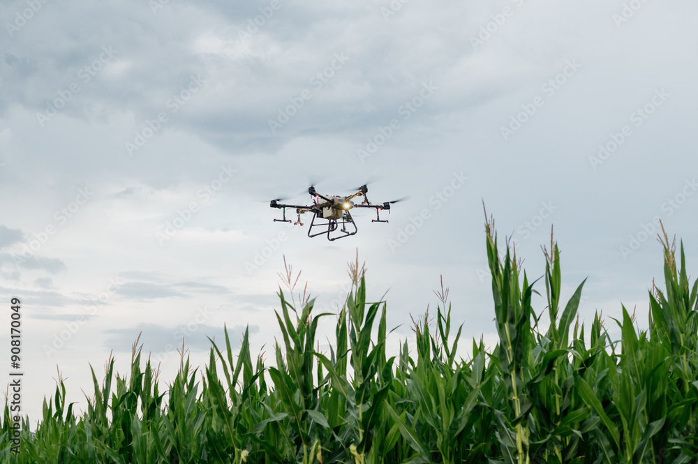 Agrodrone sprayer sprays sunflower fields, precision farming, the ...