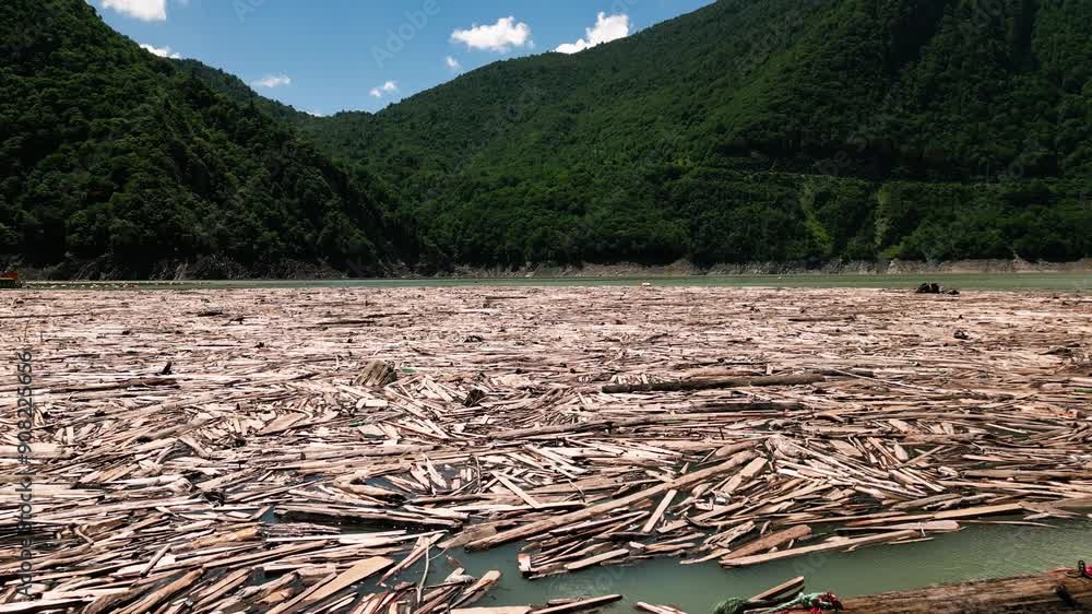 Aerial view of massive log jam. Driftwood accumulation on water ...