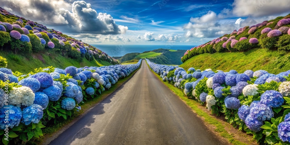 Beautiful scenery of a road lined with hortensias flowers on Faial and ...