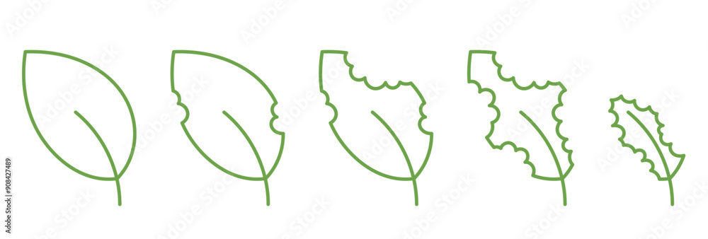 The process Biting Leaf pests. Insects plants eating bitten off ...