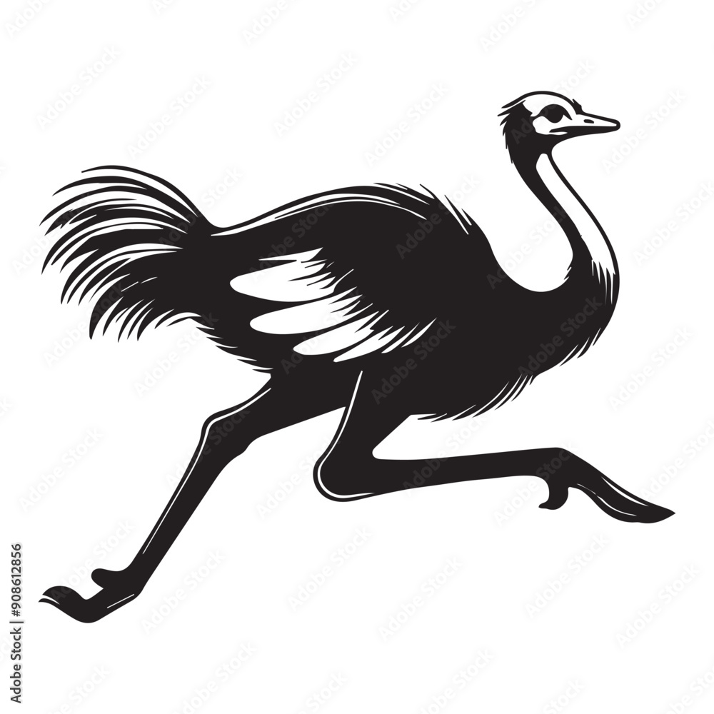 Ostrich Clipart, Struthio Bird Outline Design, Common ostrich ...