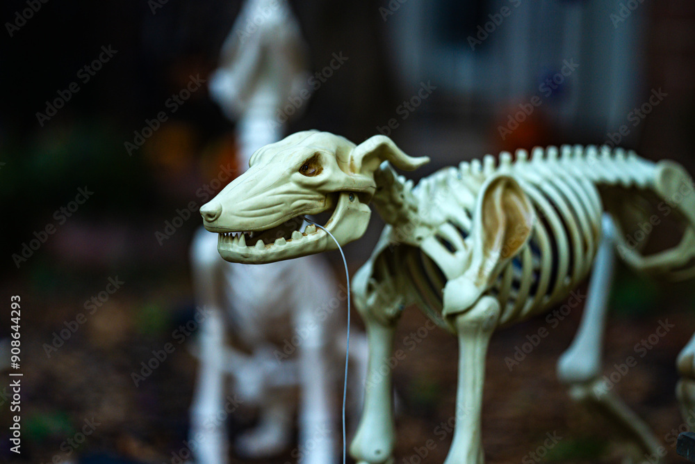 Skeleton dog Halloween decorations. Halloween skeleton for decorated ...