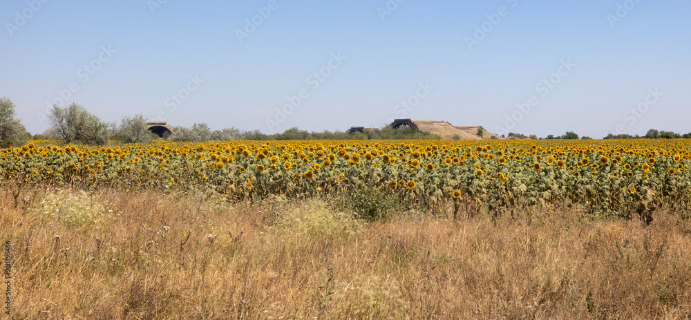 Hangar Empty aircraft hangar. Abandoned bunker. Lost airfield. Entrance ...