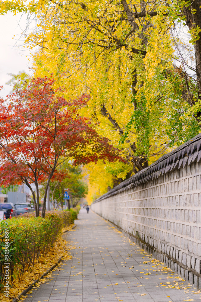 A peaceful walkway in Jeonju Hanok Village, adorned with a traditional ...