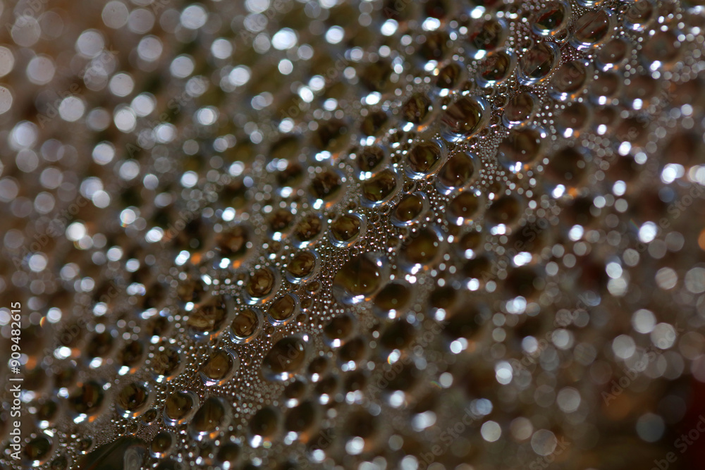 Water humidity drops bubbles macro on water colorful background liquid ...