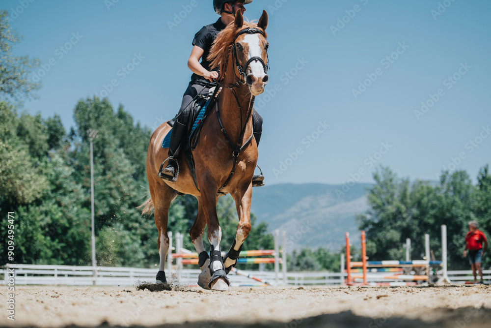 Horseback rider on a brown horse captured during an equestrian training ...