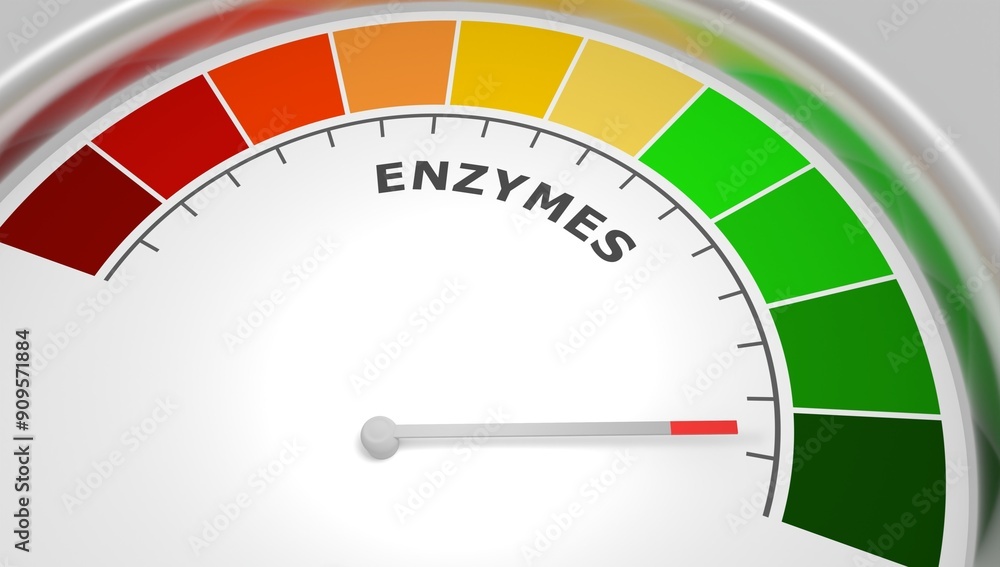 Enzymes level on measure scale. Instrument scale with arrow. Colorful ...