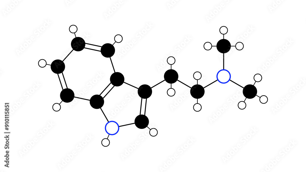 n.n-dimethyltryptamine molecule, structural chemical formula, ball-and ...