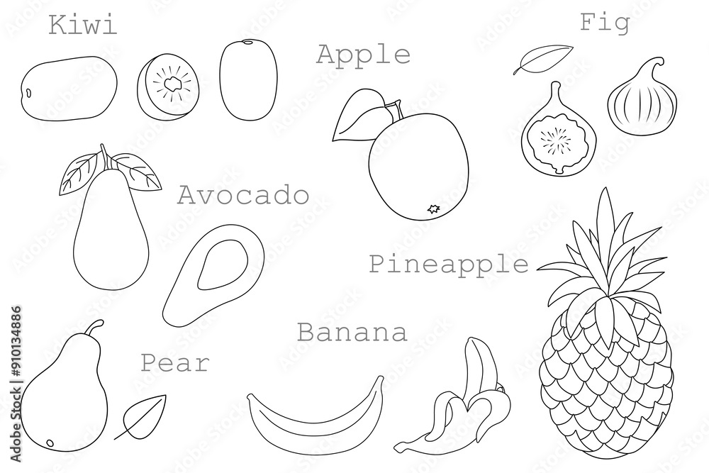Fruits set, hand-drawn. Contour drawing isolated on a white background ...