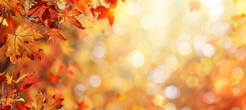 Beautiful fall leaves background: rich colors for your designs Stock ...