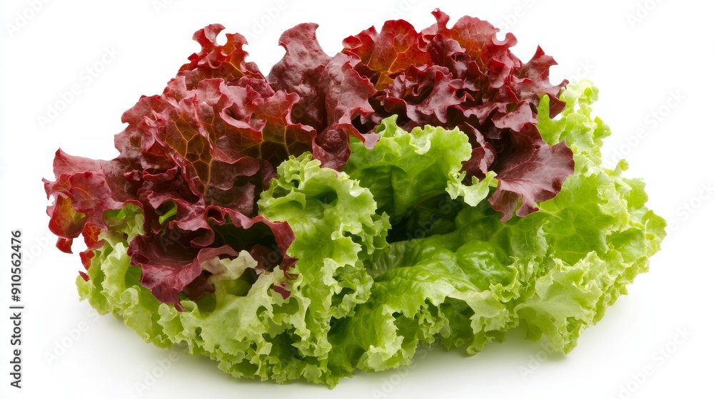 A head of red leaf lettuce split in half, displaying the deep red outer ...