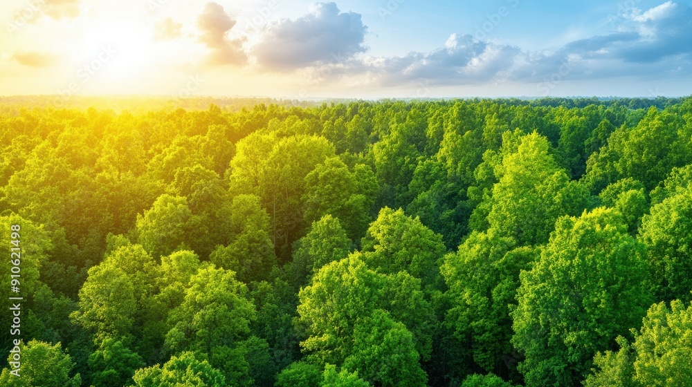 Vibrant forest scene featuring detailed ESG symbol, highlighting ...