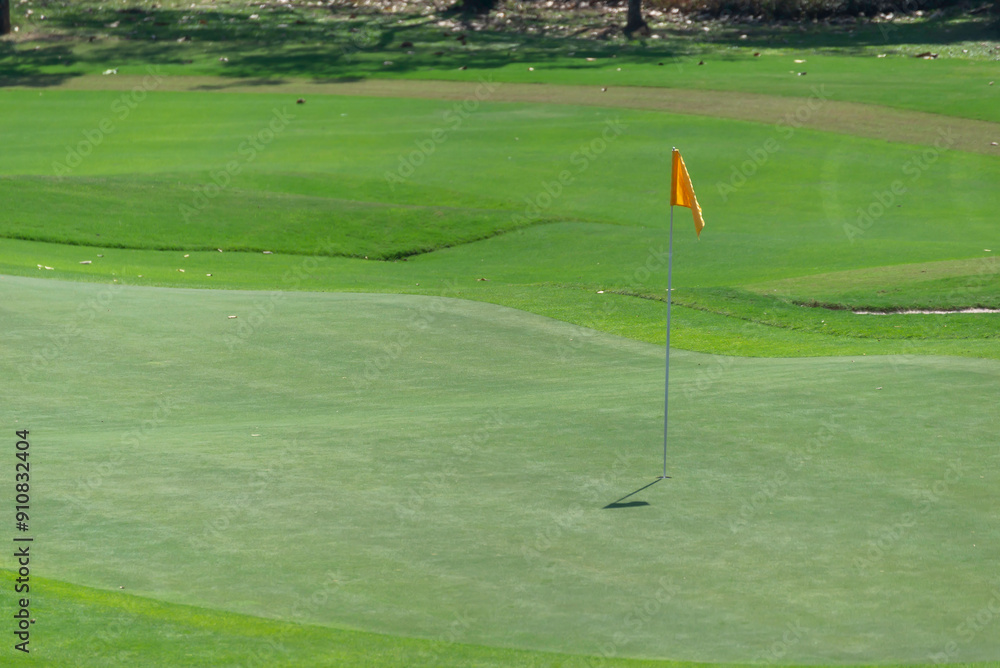 Green grass and woods on a golf field. View of Golf Course with ...