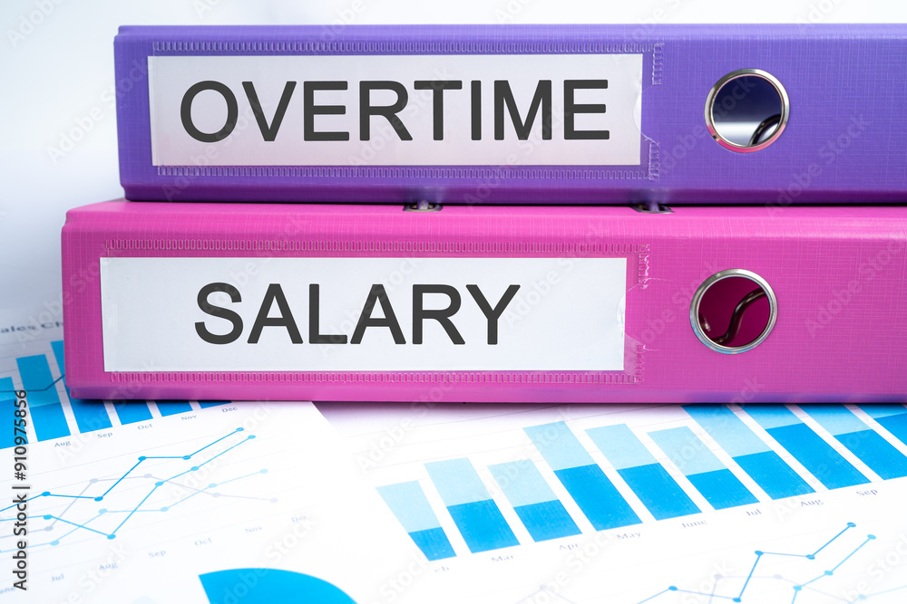 Overtime, Salary. Binder data finance report business with graph ...