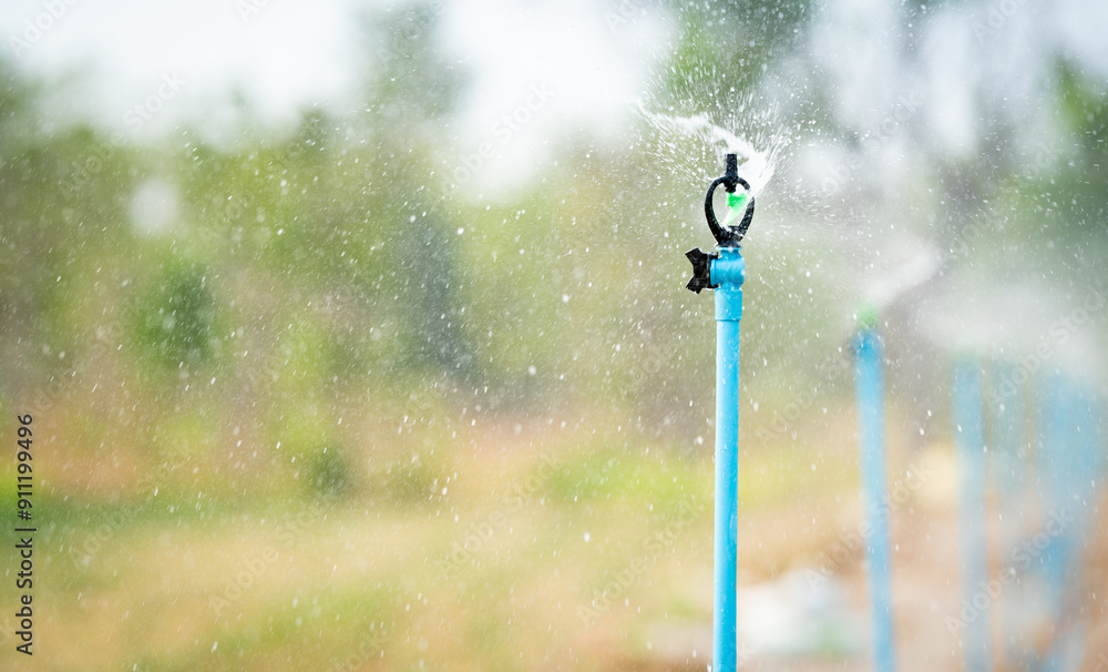 Automatic sprinkler watering green plant garden. Sustainable ...