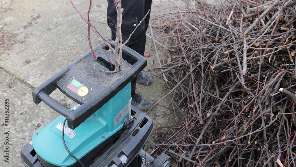 man, using a shredder, shreds branches from the remains after pruning ...