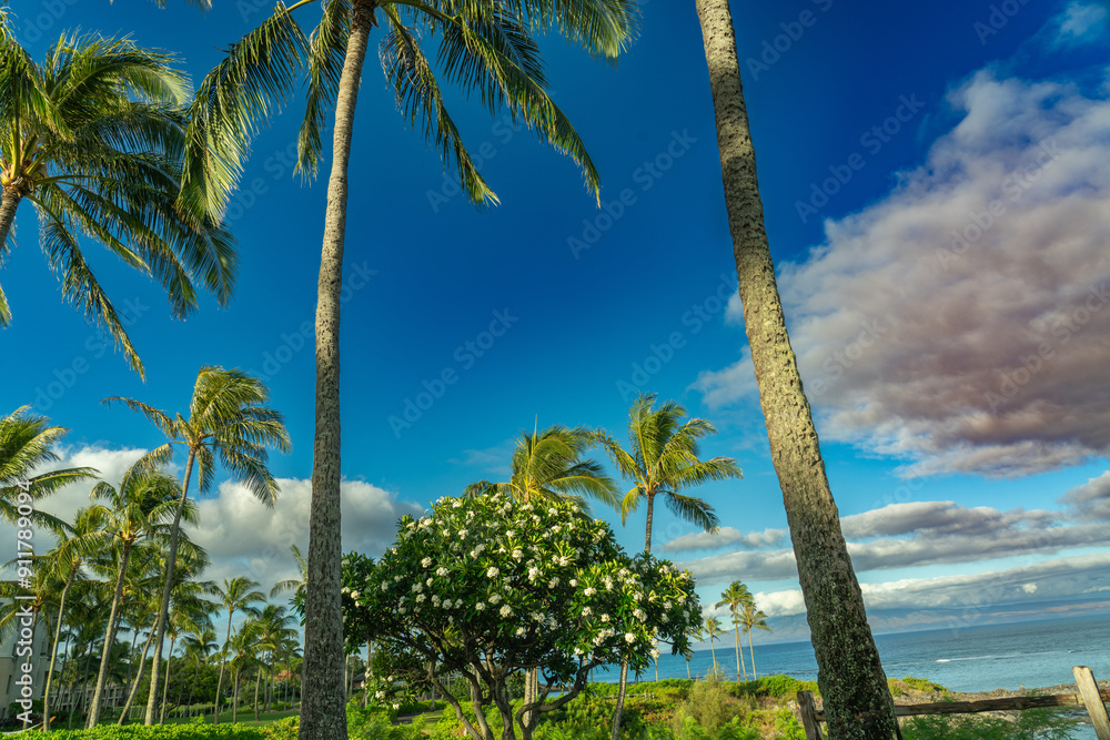 Hawaii: The Aloha State Experience the breathtaking beauty and vibrant ...