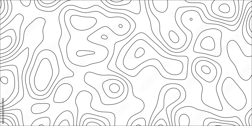 Topographic map background geographic line map with elevation ...