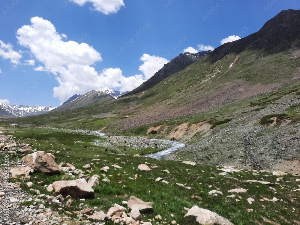A beautiful view of the Burzil Pass in Gilgit-Baltistan. The Burzil ...