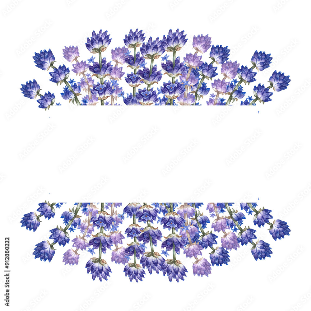 Lavender. The frame is made of lavender. The horizontal border frame is ...