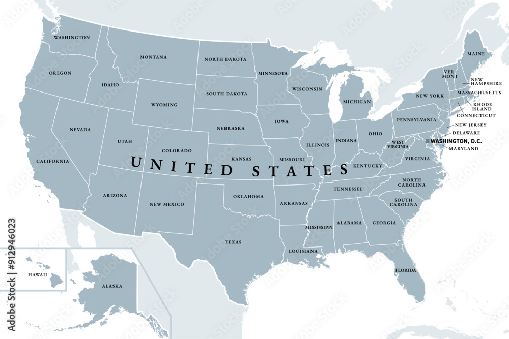 United States of America, gray political map. Fifty single states with ...