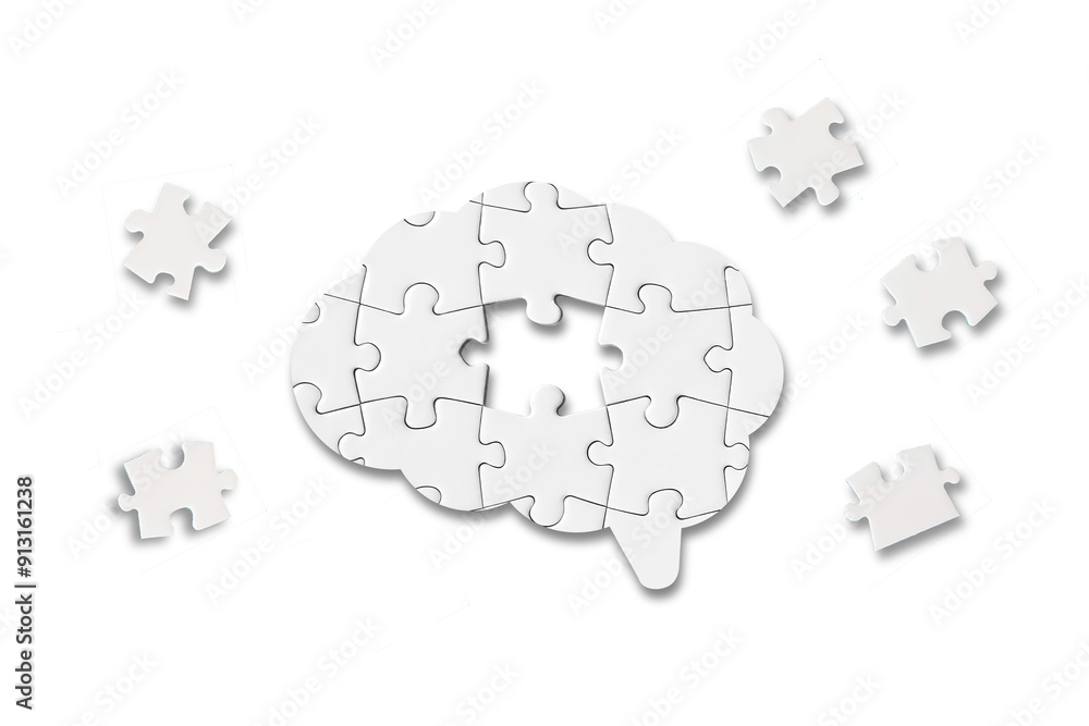 Mental health and problems with memory. A missing piece of the brain ...