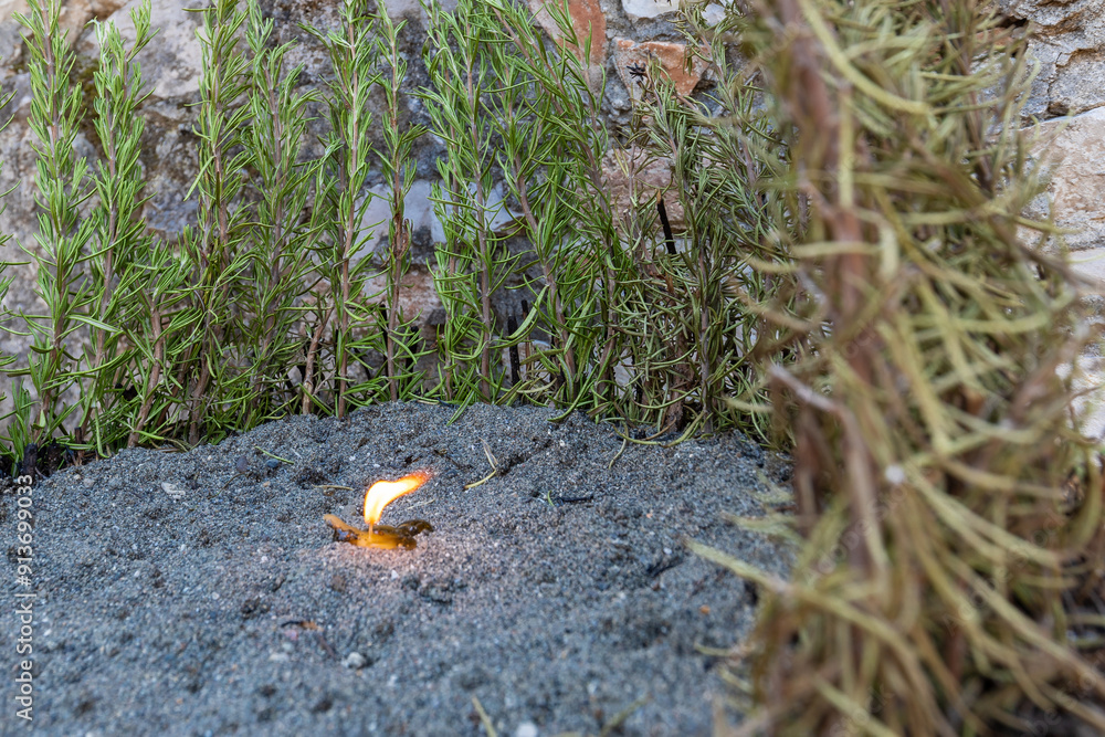 13th century drawings and frescoes in the the Church of Saint Mary of ...