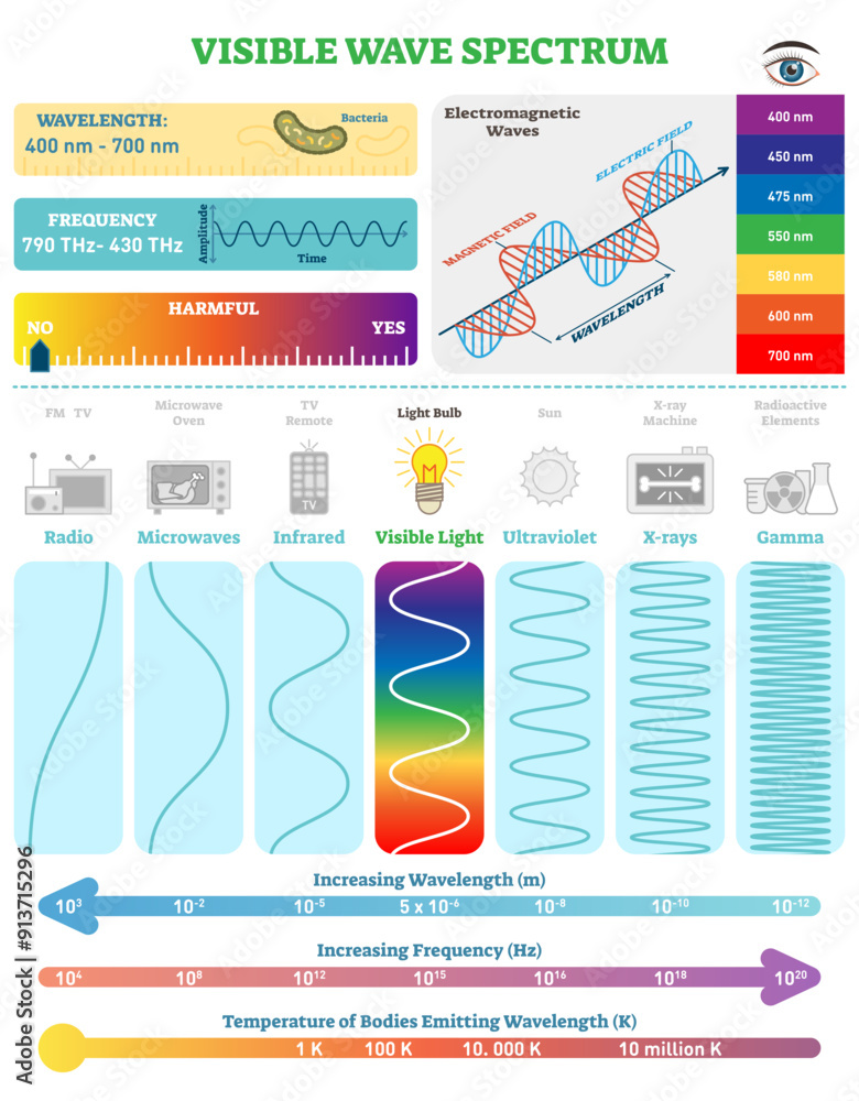 Poster Electromagnetic Waves: Visible Wave Spectrum, transparent ...